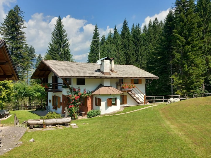 Appartamento Immerso Nella Natura - San Martino di Castrozza