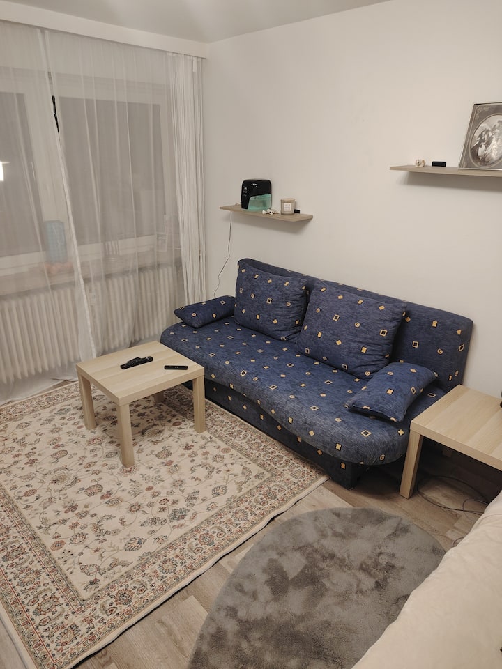 1 Bedroom Apartment, With Kitchen And Bathroom - Munique