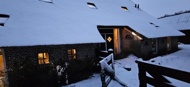 De Stee. Herde Van Dwingeloo - Meppel