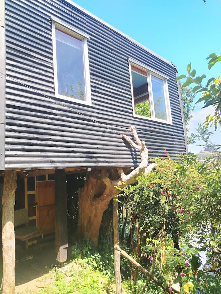 Cabaña Del ÁRbol | Refugio Y Descanso Natural - Ancud