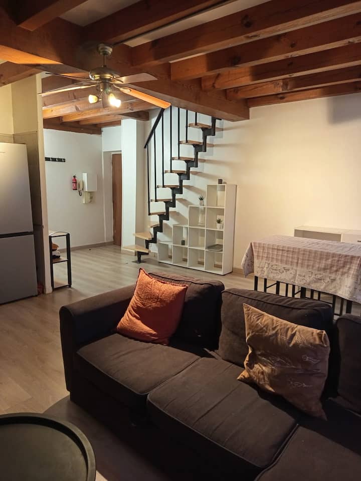 Appartement T2 Très Lumineux - Hasparren