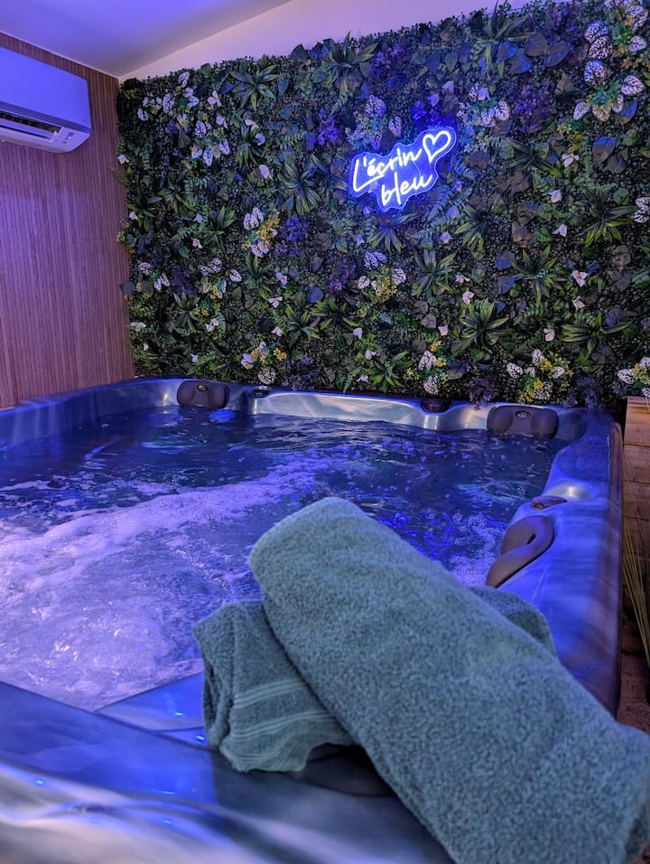 L’écrin Bleu – Maison Avec Spa Privatif Pour 2- - Aucamville