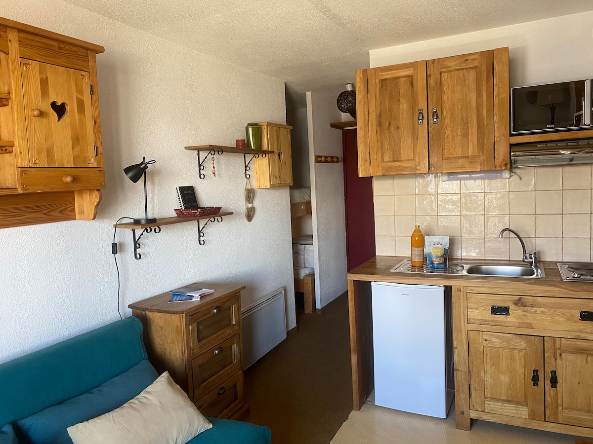 Studio 4/5 pers Pieds des pistes Puy st Vincent - Appartements à louer ...