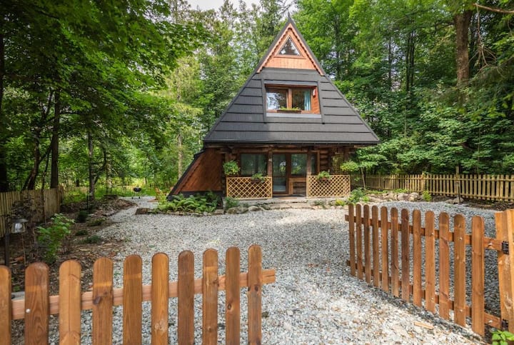 Mountain Shelter Ch41 - Zakopane