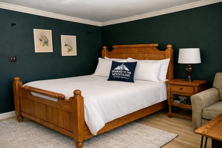 Studio - Resort Access - Mountain View - Lake Lure - Lake Lure, NC