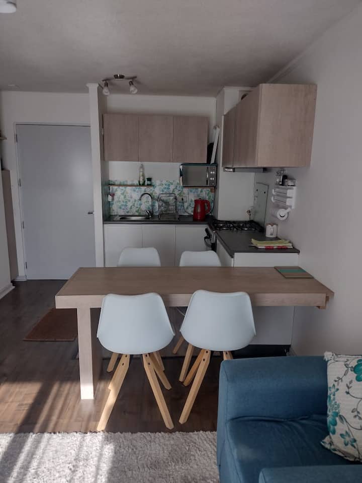 Departamento Para 2 Personas Cómodo Y Seguro - Coyhaique