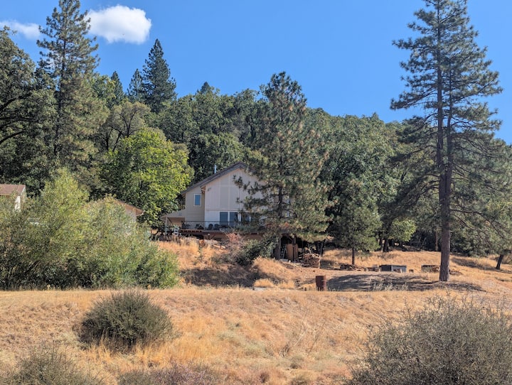 Banana Queen Springs - Laid Back Comfort - Nevada City, CA