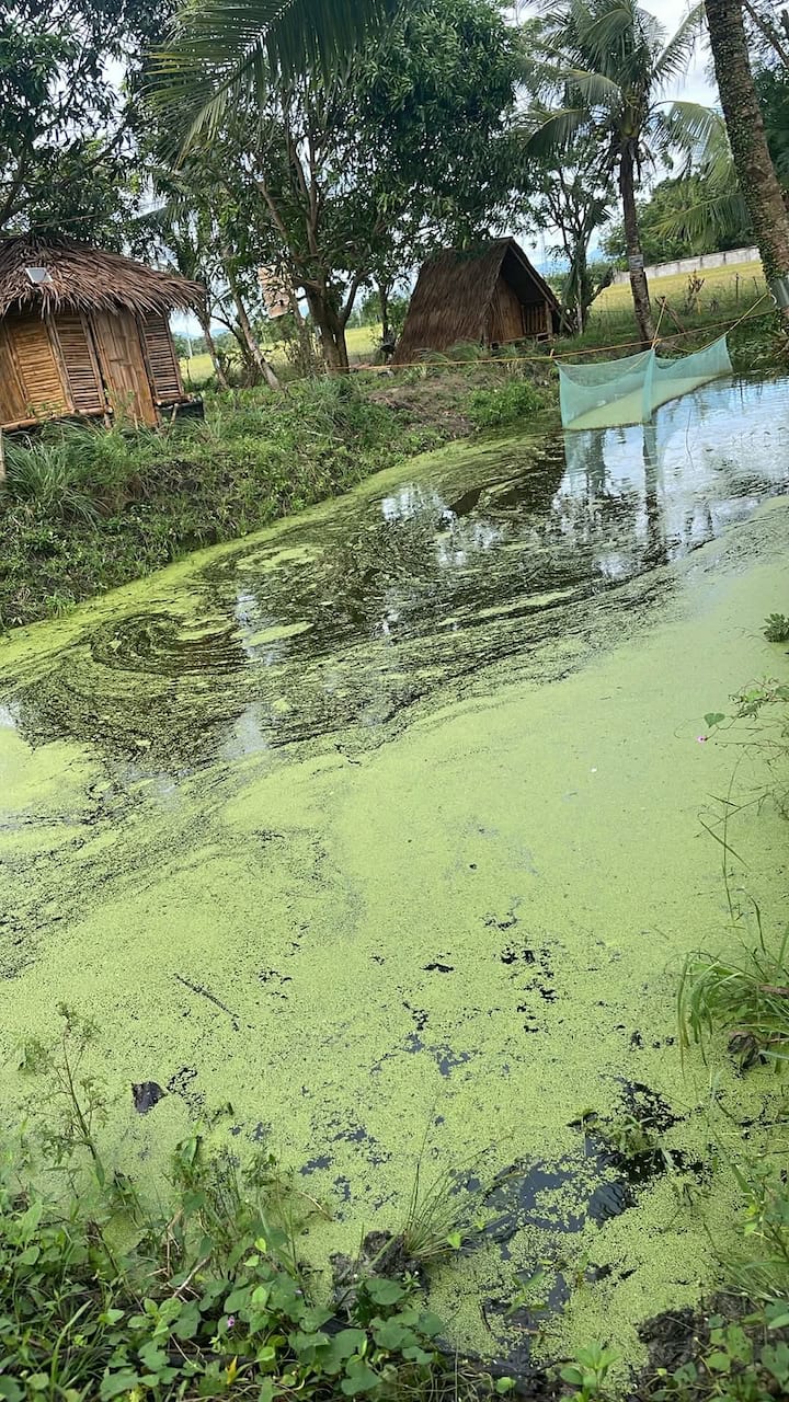 Its Peaceful, Relaxing And Comfortable Property. - Pototan