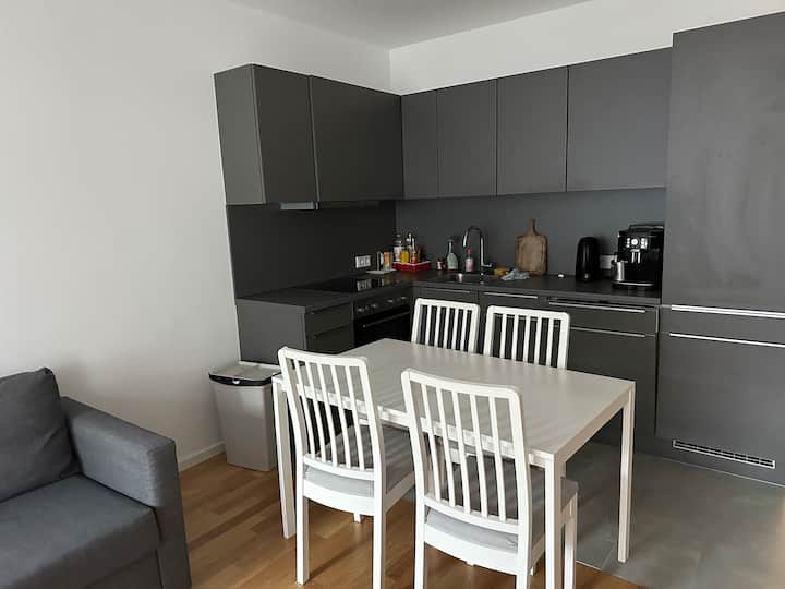 法兰克福市中心Luxury展会公寓 - Frankfurt