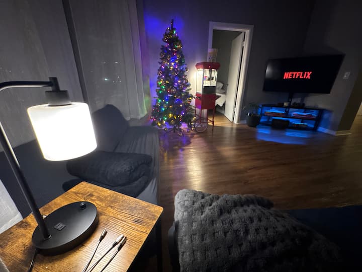 10min To Millennium Park / Navy Pier / Skydeck - Chicago