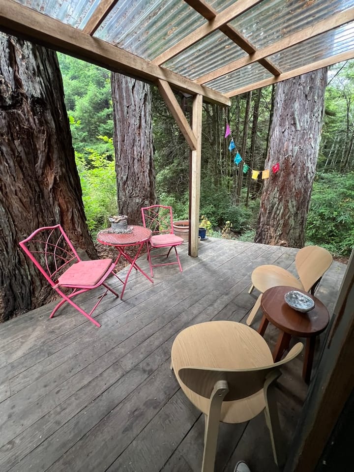A Cabin In A Redwood Fairy Ring - Fort Bragg, CA