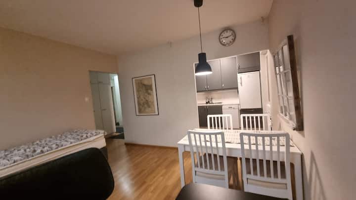 Tyylikäs 2h+k Keskustan Palveluiden ääRellä, 55 M2 - Joensuu