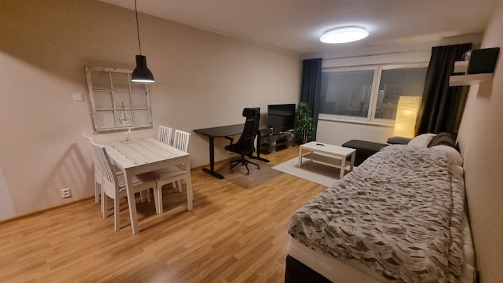 Tyylikäs 2h+k Keskustan Palveluiden ääRellä, 55 M2 - Joensuu