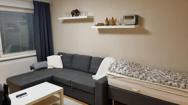 Tyylikäs 2h+k Keskustan Palveluiden ääRellä, 55 M2 - Joensuu