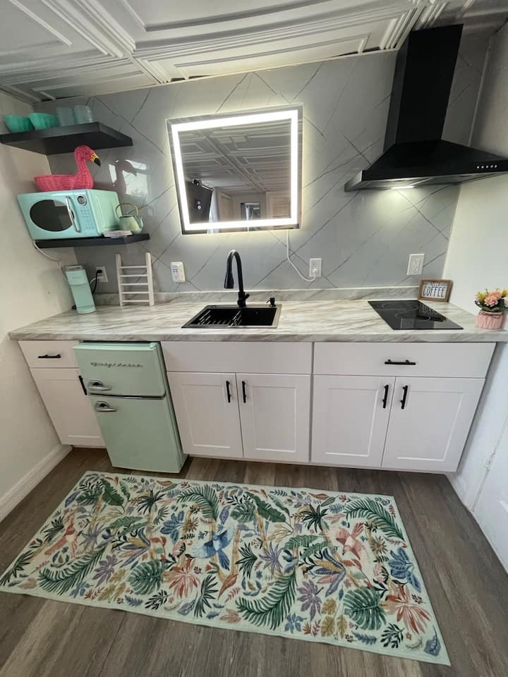 Flamingo Flat In St. Pete's Grand Central District - 聖彼德斯堡