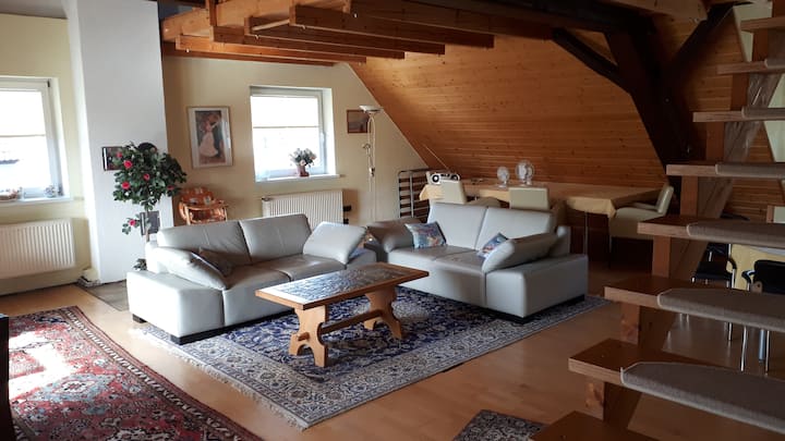 Große Ferienwohnung Am Rhein - Bad Breisig