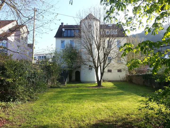 Große Ferienwohnung Am Rhein - Sinzig