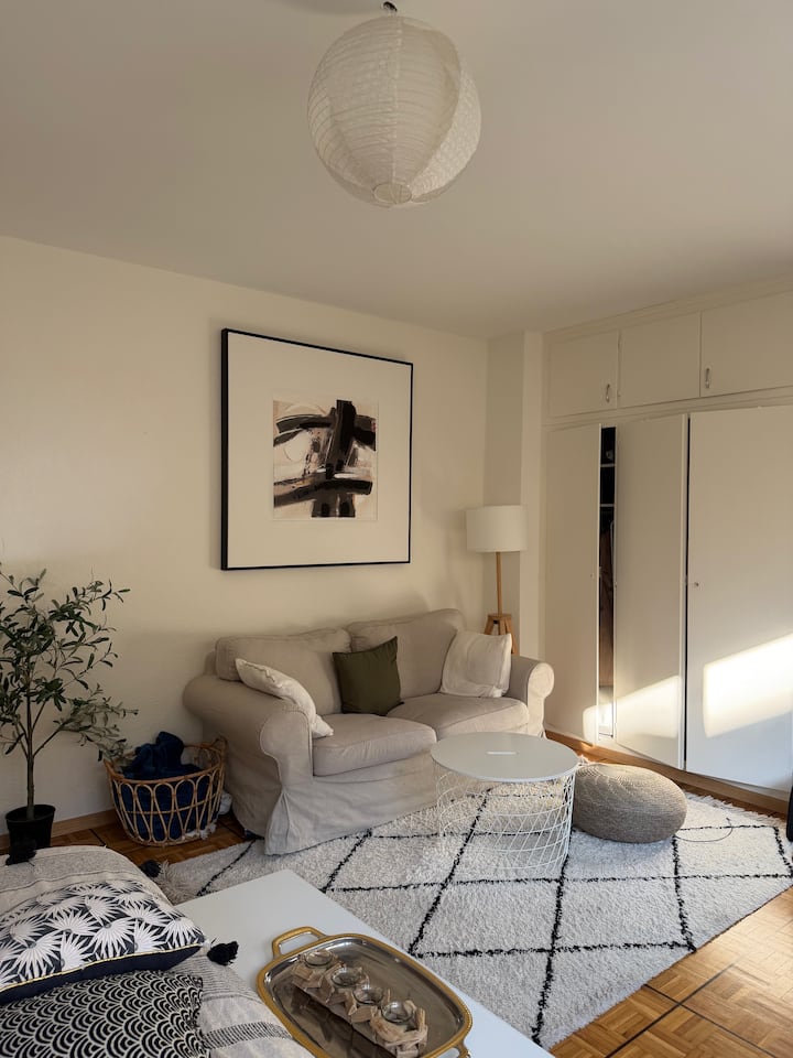 Lake Apartment In The Restaurant Area Of Geneva - Genève