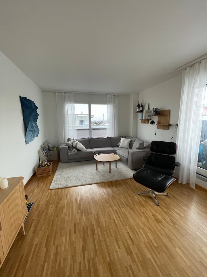 4.5r Family Apartment – Sublet May 17 To July 27 - Zug