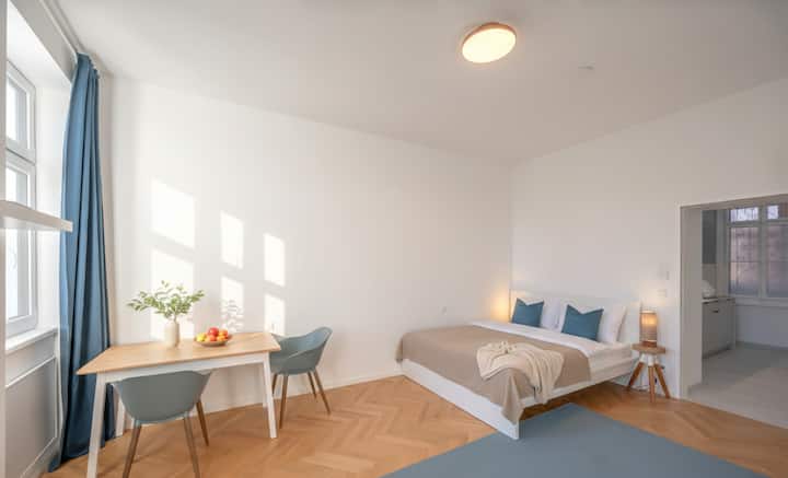 Modern & Bright: Newly Renovated Near Center - Vienna