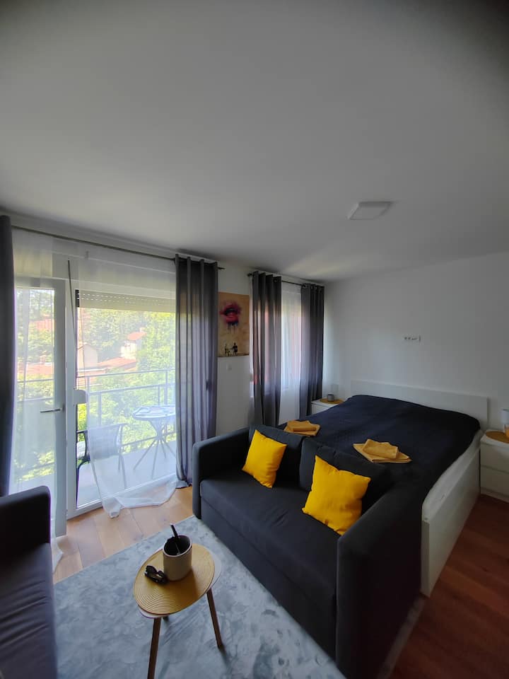 Ogi Apartman Vrnjacka Banja - Trstenik