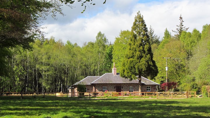 5-star Woodland Retreat - Fishing, Tennis, Sauna - Auchterarder