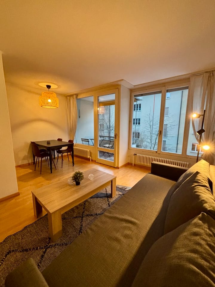 Friendly & Calm 1 Br Apartment Ii - Berne