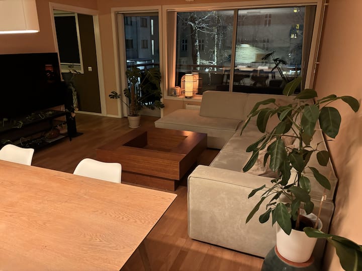 Leilighet Nær Oslo Togstasjon/bussterminal - Oslo