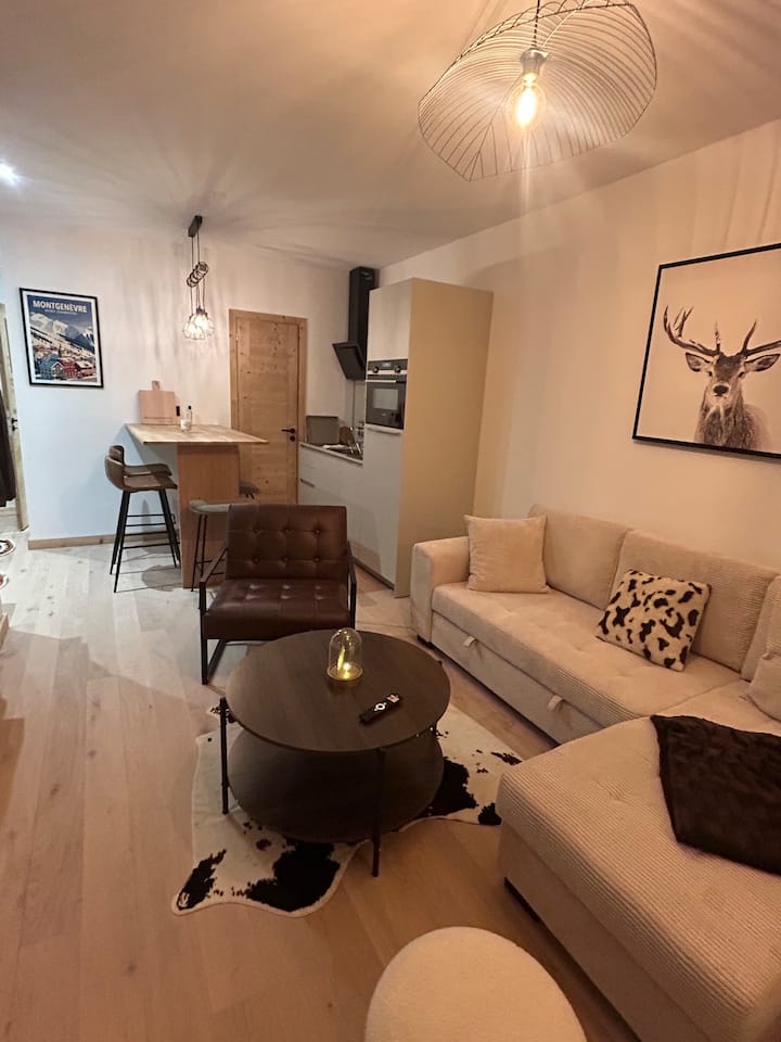 Magnifique T2 Cosy Au Pied Des Pistes - Montgenèvre