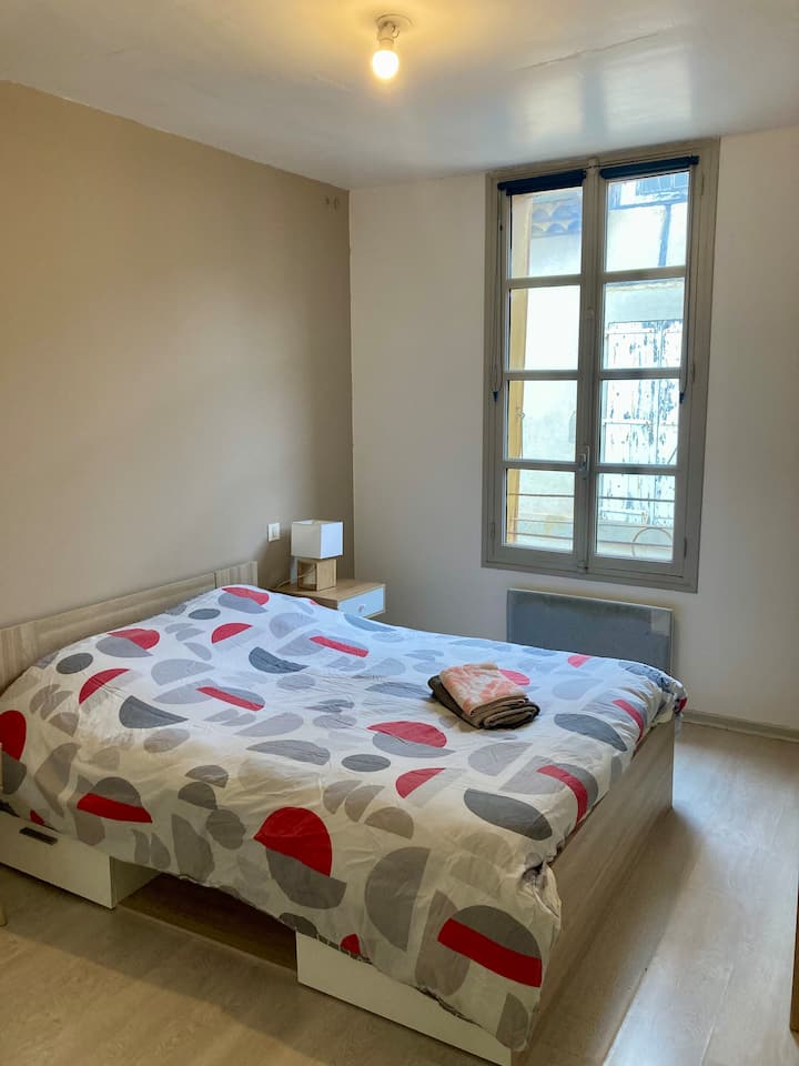 Appartement Centre-ville Castres - Castres