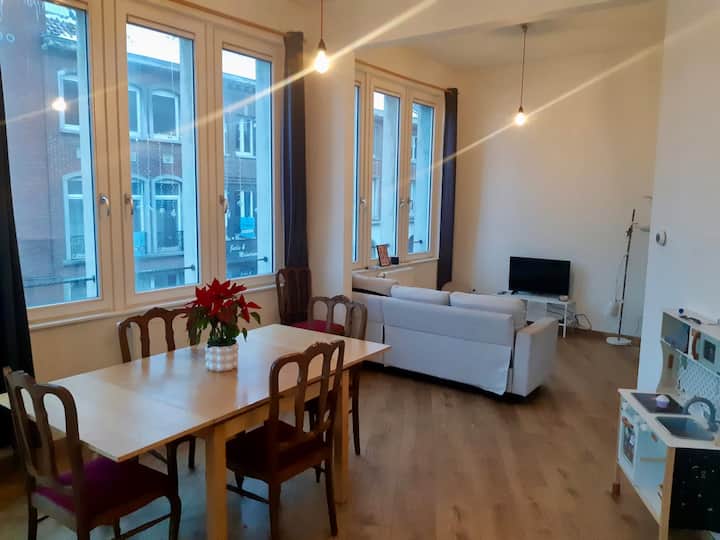 Vue Imprenable Sur L'escaut Et Le Pont De Fer - Tournai