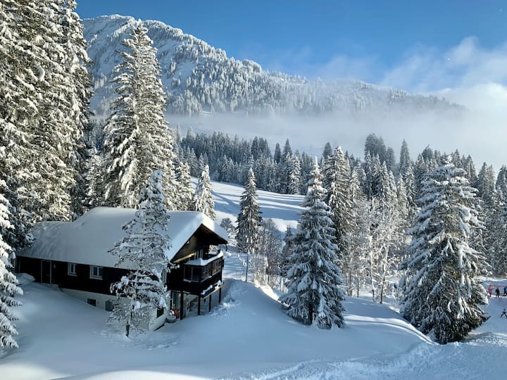 Stylish Ski-in/ski-out Apartment In Chalet | Amden - Amden