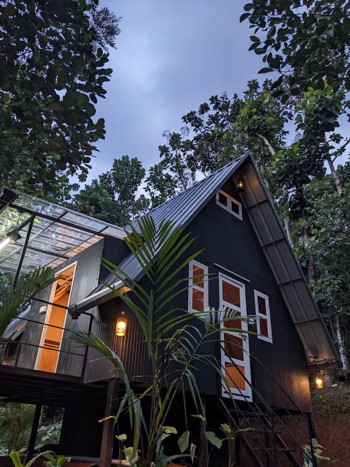 Altair From Sapovnela- A Frame House - Idukki