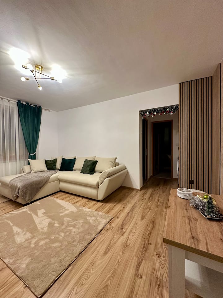 Cozy Central Apartment D&d - Toplița