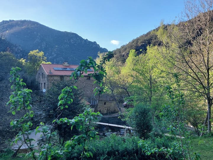 Grande Gîte Du Mas - Arles-sur-Tech