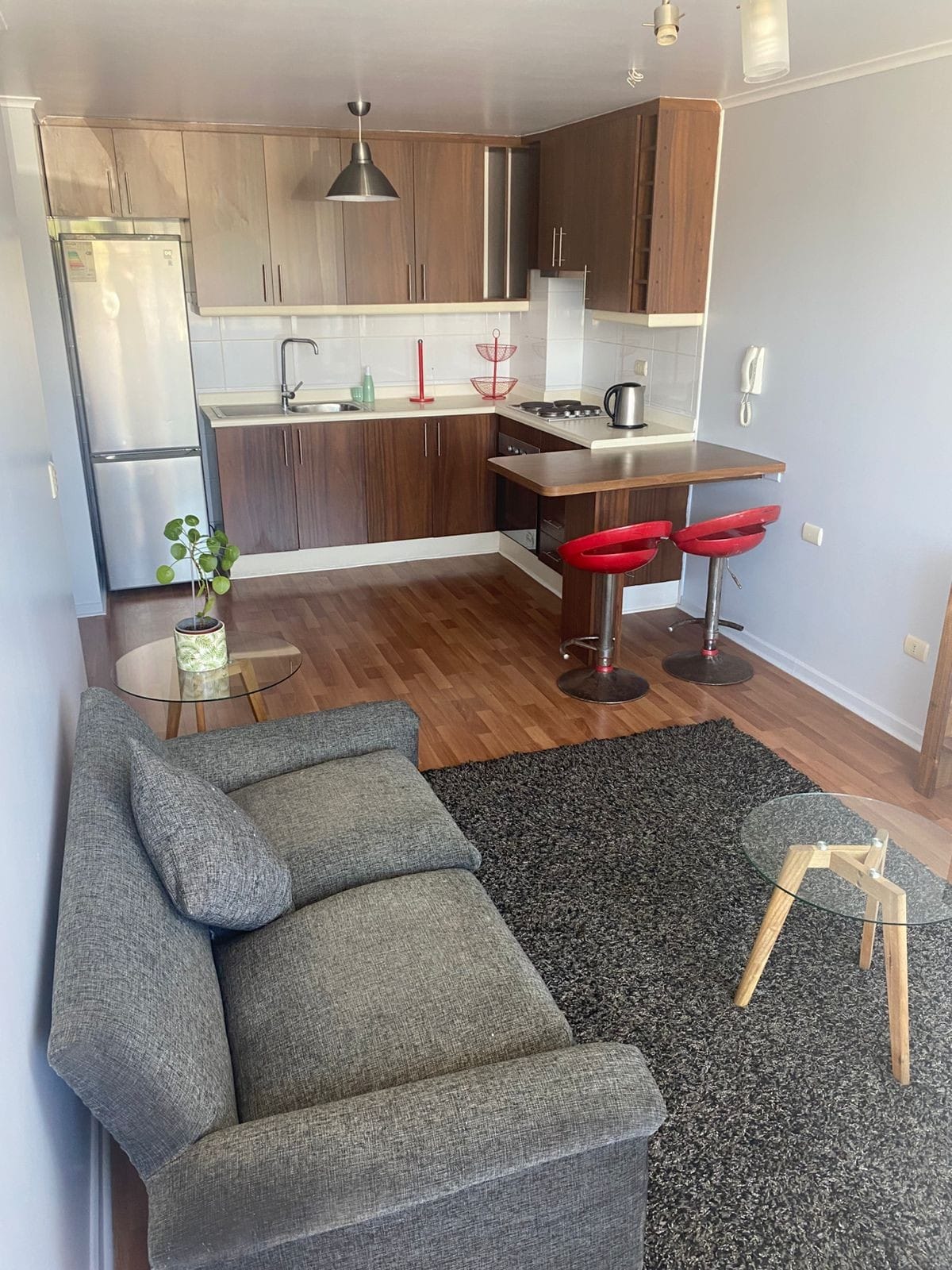 Functional apartment for holidays - Flats for Rent in Osorno, Los Lagos ...