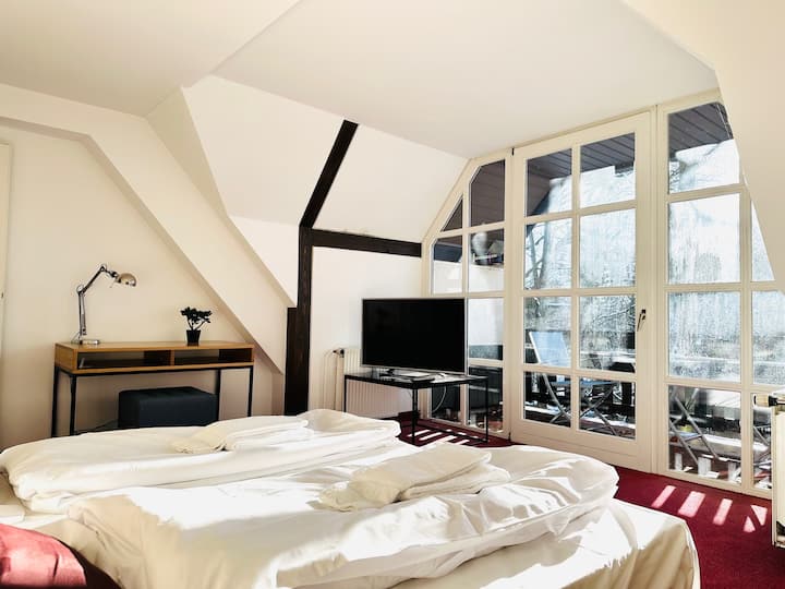 Robinien Apartment- 4 Personen - Wolfsbourg