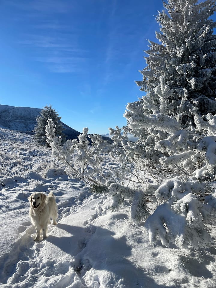 Villa De Prestige En Auvergne - Volvic
