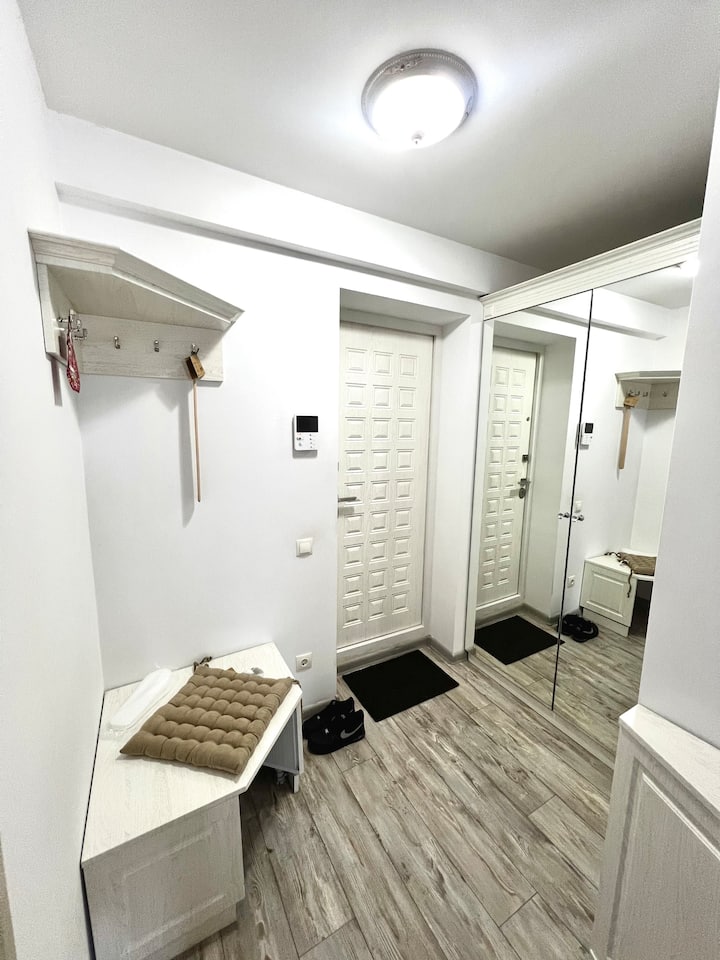 Classic Comfort Apartment - Moldova