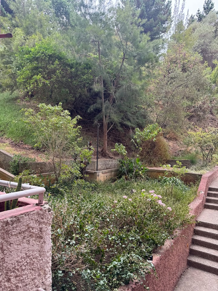 Depto. En Reñaca. Cerca De Playa Y Restaurantes. - Concón