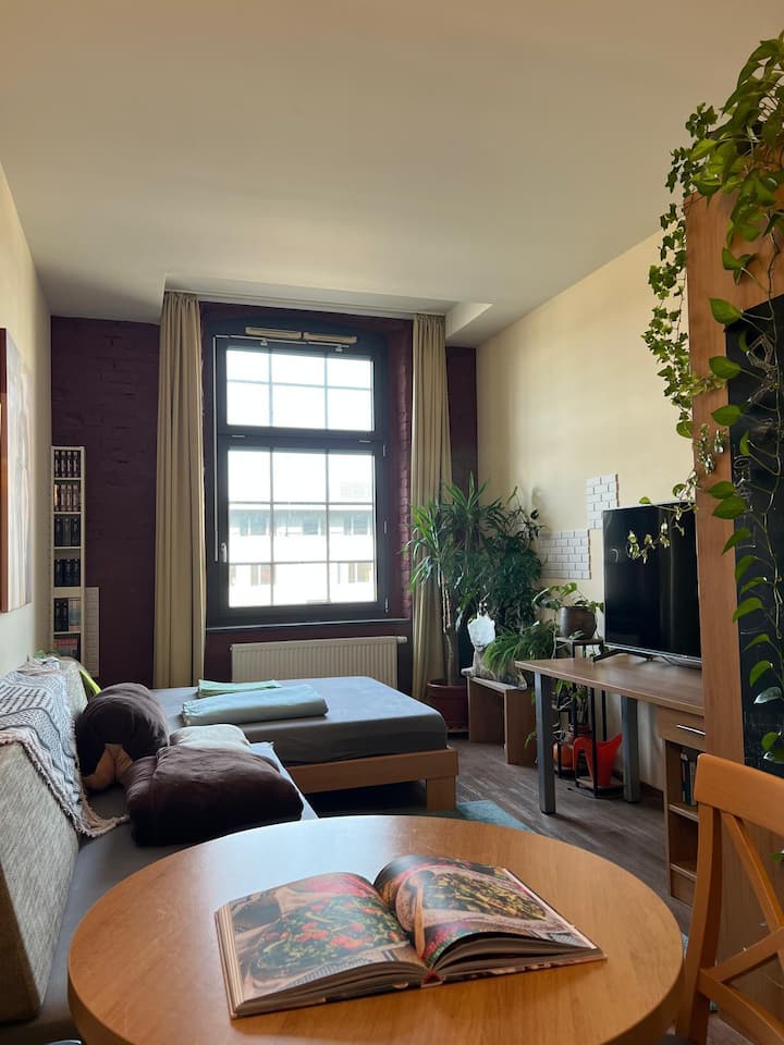 Ruhiges Studio Auf Der Erba-insel/ Altstadtnah - Bamberg