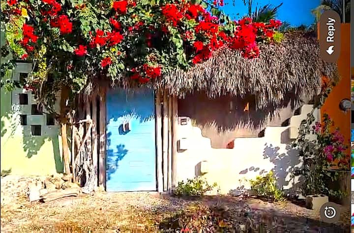 Don Cuyo Casita - El Cuyo