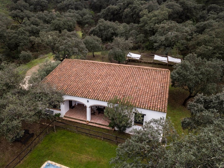 Finca Arroyo La Jara (Casa El Olivo) - Almonaster la Real