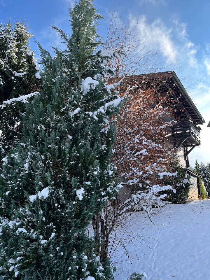 Un Chalet Chaleureux - Morillon