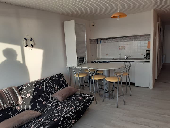 Vue Mer Exceptionnelle • Balcon Privatif - Quend Plage