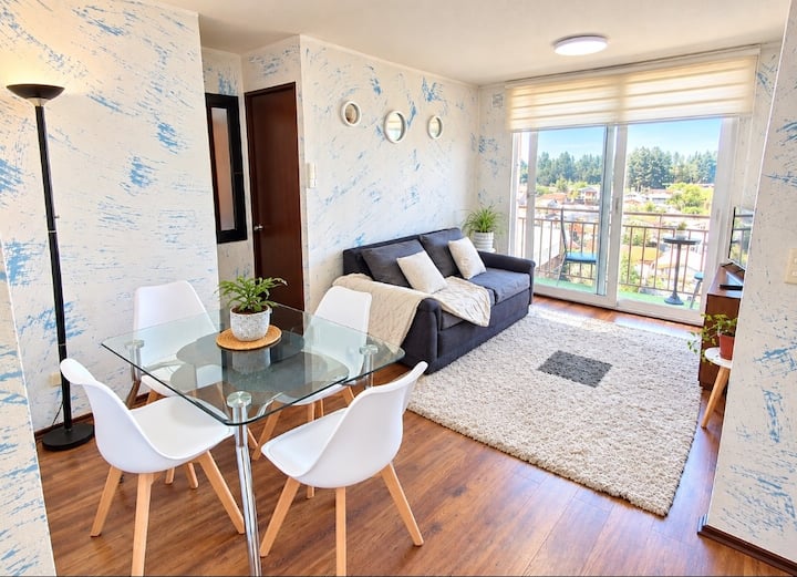 Apartment In The Centre, Up To 4 People + Parking. - Temuco