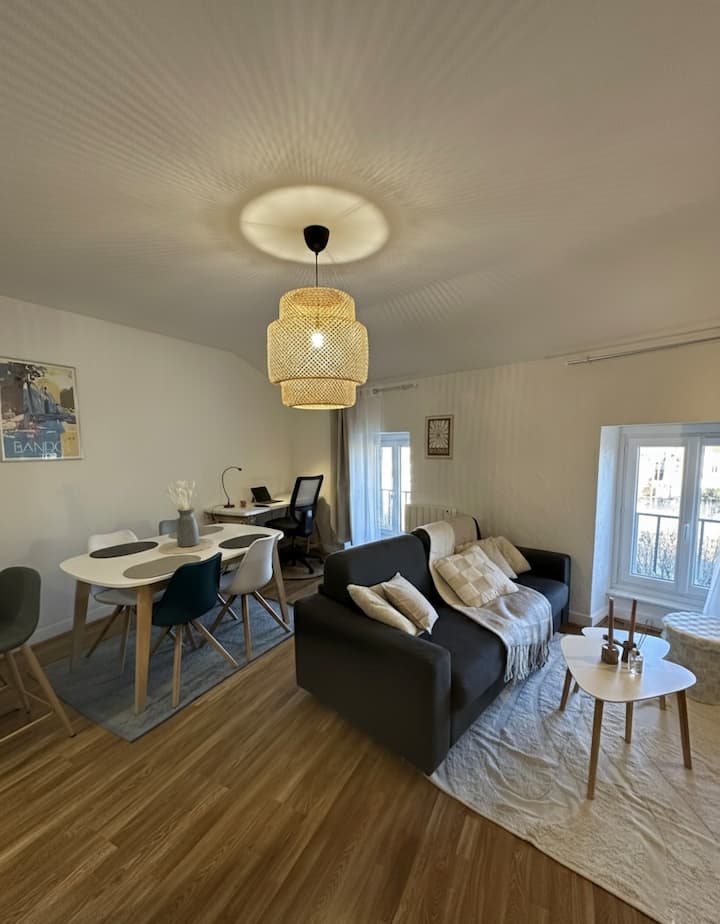 Jfk13 - Suite Cocoon Centre. Vue Sancy & Fibre - Saint-Babel