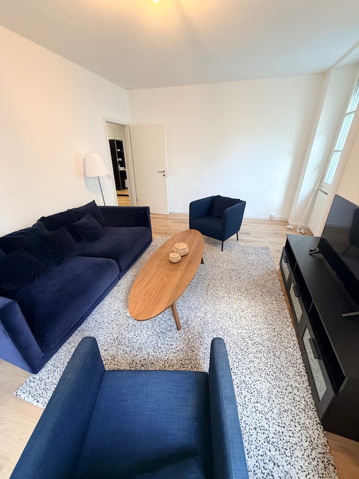 Appartement 1 Chambre Lumineux & Charmant - Geneva