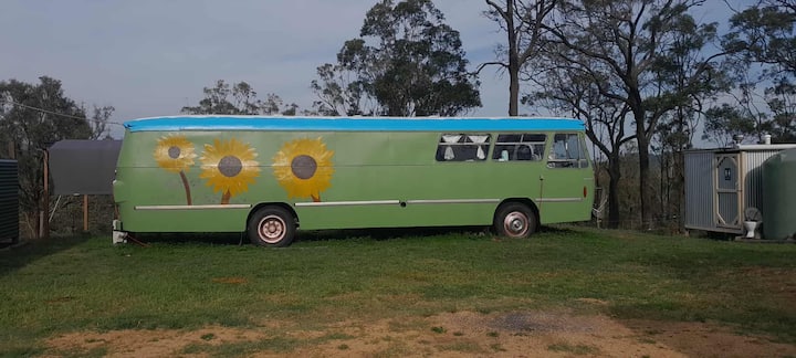 Vintage Bedford Bus Farm Glamping Under The Stars - Warwick Railway Station Museum
