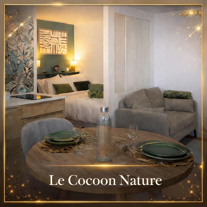 Le Cocoon Nature | Centre Ville | Netflix & Clim - Valence, France